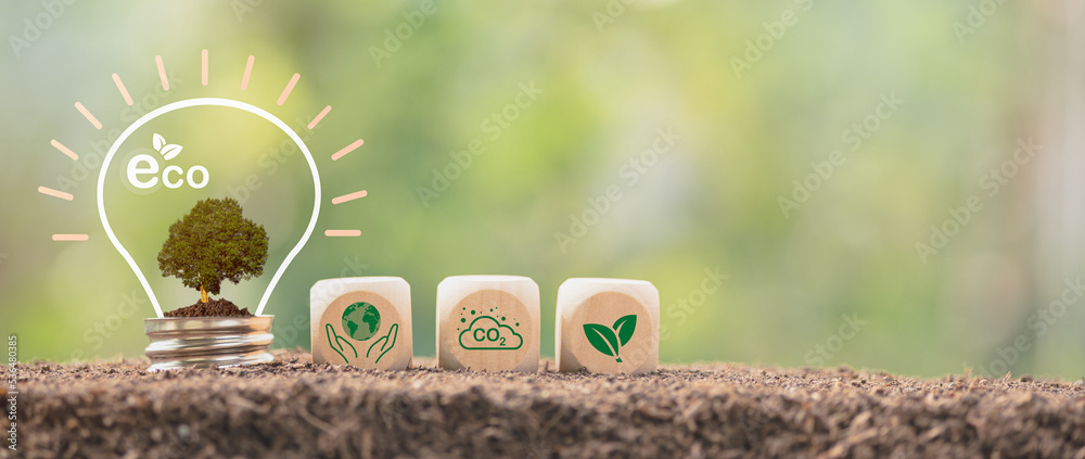 protecting the environment alternative energy Sustainable renewable ...