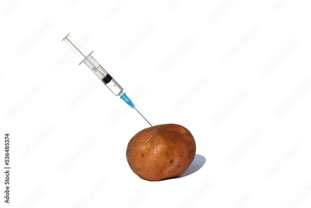 Potato pricked with a syringe on a white isolated background. Stock ...
