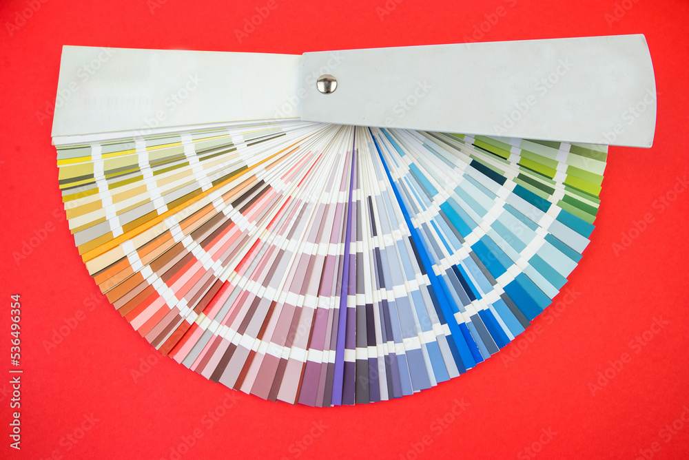 Color guide close up. Assortment of flowers for design. Color palette ...