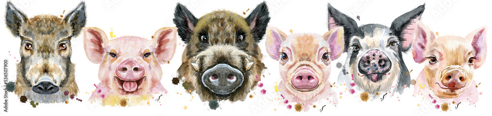 Border from pigs. Watercolor portraits of pigs and boars Stock ...