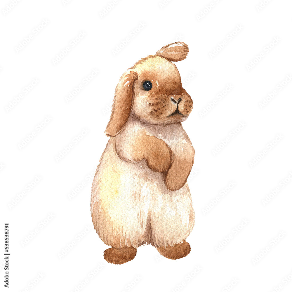Cute little rabbit sketch. Watercolor illustration on white background ...