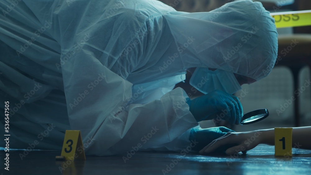 Detective Collecting Evidence in a Crime Scene. Forensic Specialists ...