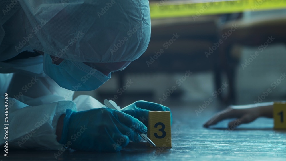 Detective Collecting Evidence in a Crime Scene. Forensic Specialists ...