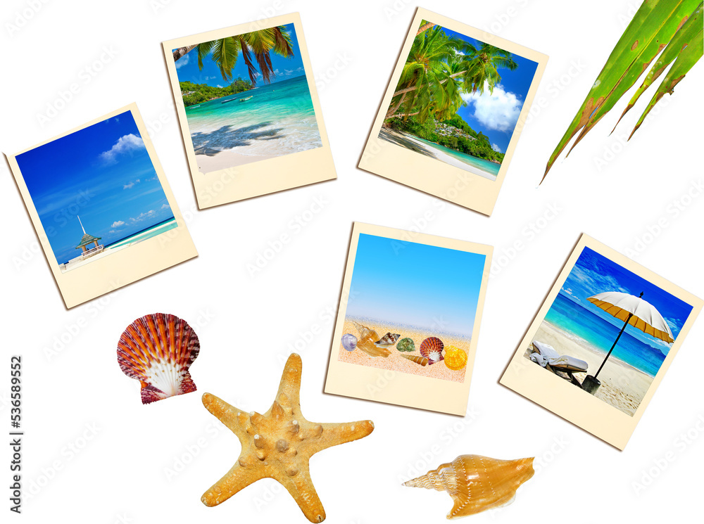 Tropical set for collage with sea shells and frames with photos of the ...