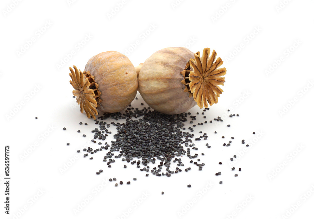 graines de pavot avec deux capsules de profil isolés sur fond blanc ...