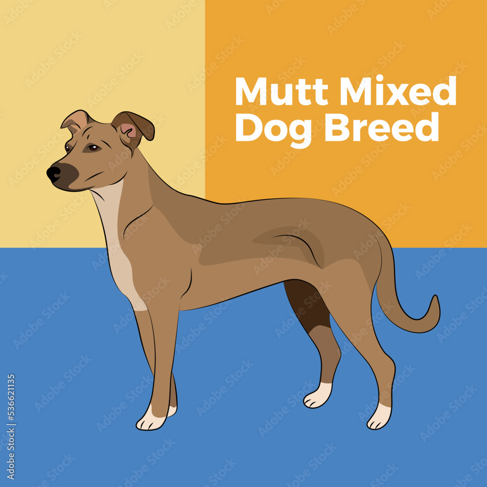 Dog breed Greeting card with a sitting staying mixed breed dog ...
