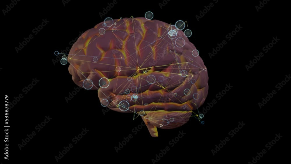 Neuroplasticity. Rewiring brain. Network of linked lines, dots moving ...