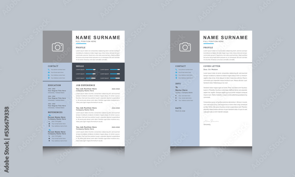 clear and modern professional resume CV template job applications ...