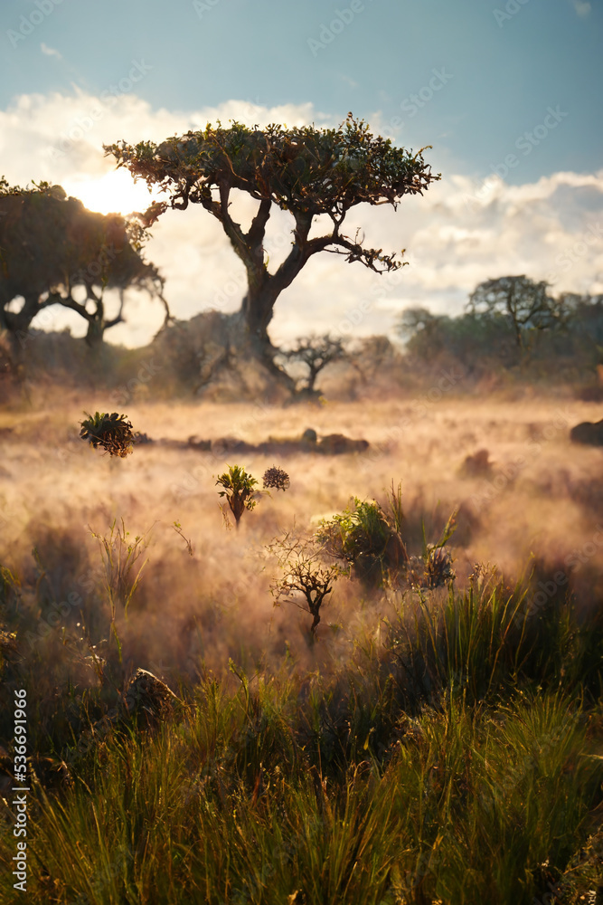 Illustration of african savanna landscape Stock Illustration | Adobe Stock