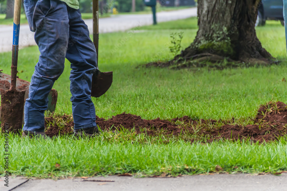 Blue-collar landscape worker prepping for an underground irrigation ...