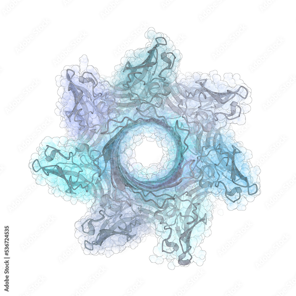 3D structure of a DNA sequencing nanopore protein - alpha-hemolysin ... 3D structure of a DNA sequencing nanopore protein - alpha-hemolysin ...