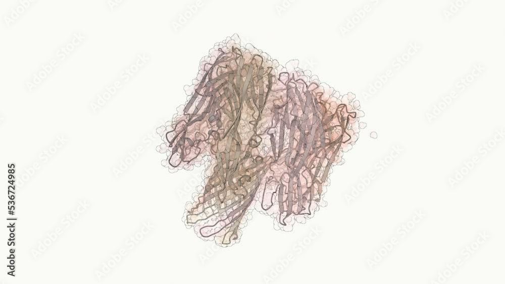 3D structure of a DNA sequencing nanopore protein - alpha-hemolysin ... 3D structure of a DNA sequencing nanopore protein - alpha-hemolysin ...