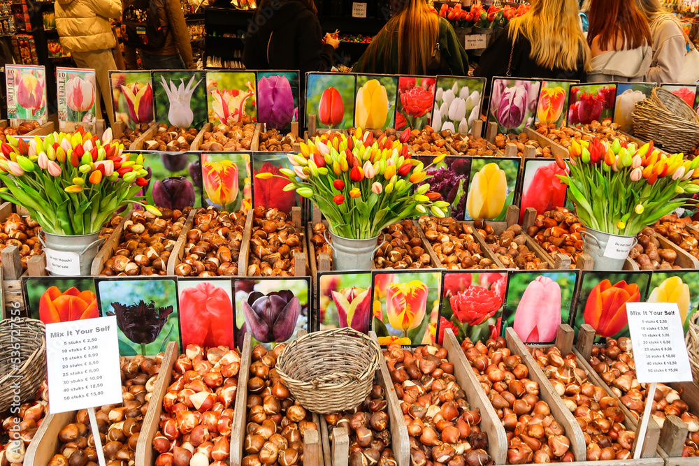 Amsterdam, Netherlands. October 2022. The floating flower market in ...