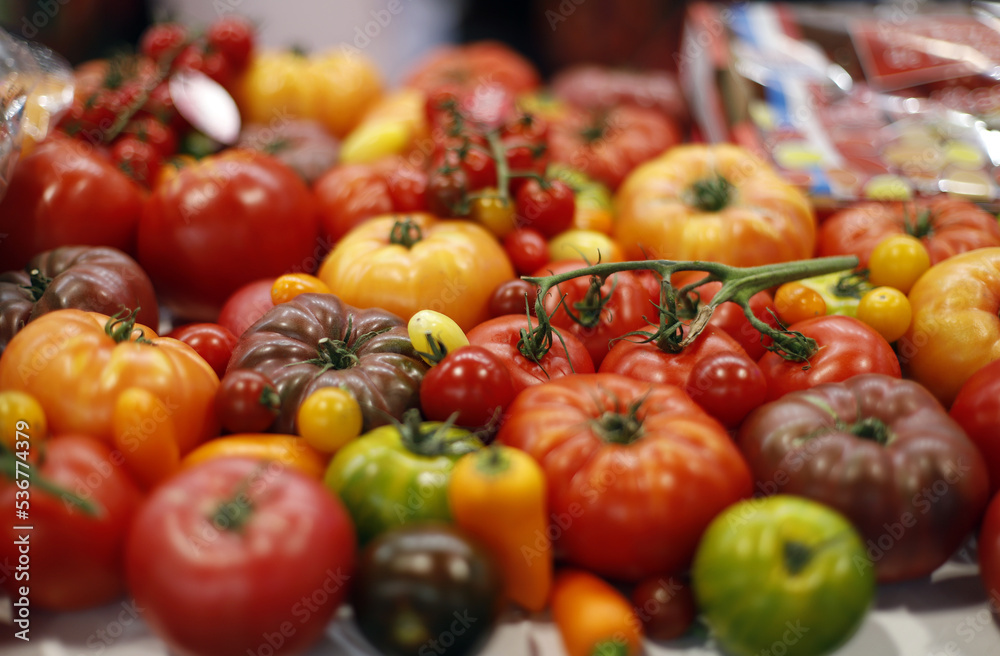 tomates naturales de diferentes clases y colores Stock Photo | Adobe Stock