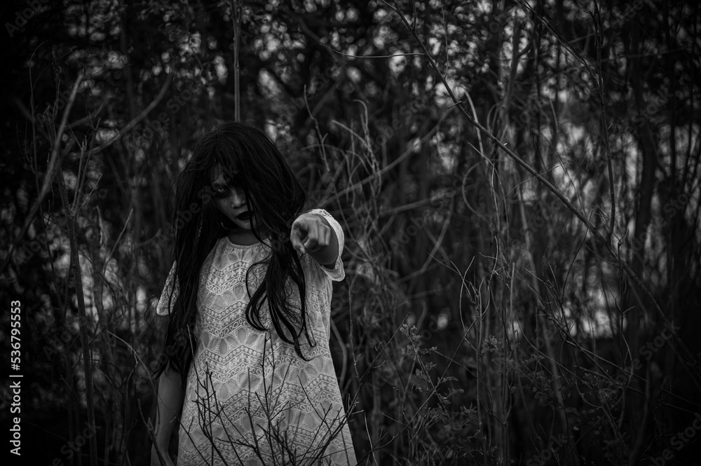 Portrait of asian woman make up ghost face at the swamp,Horror in water ...