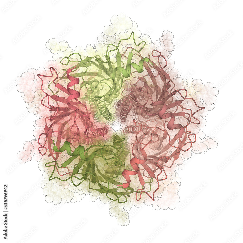 Acetylcholine Structure 3d