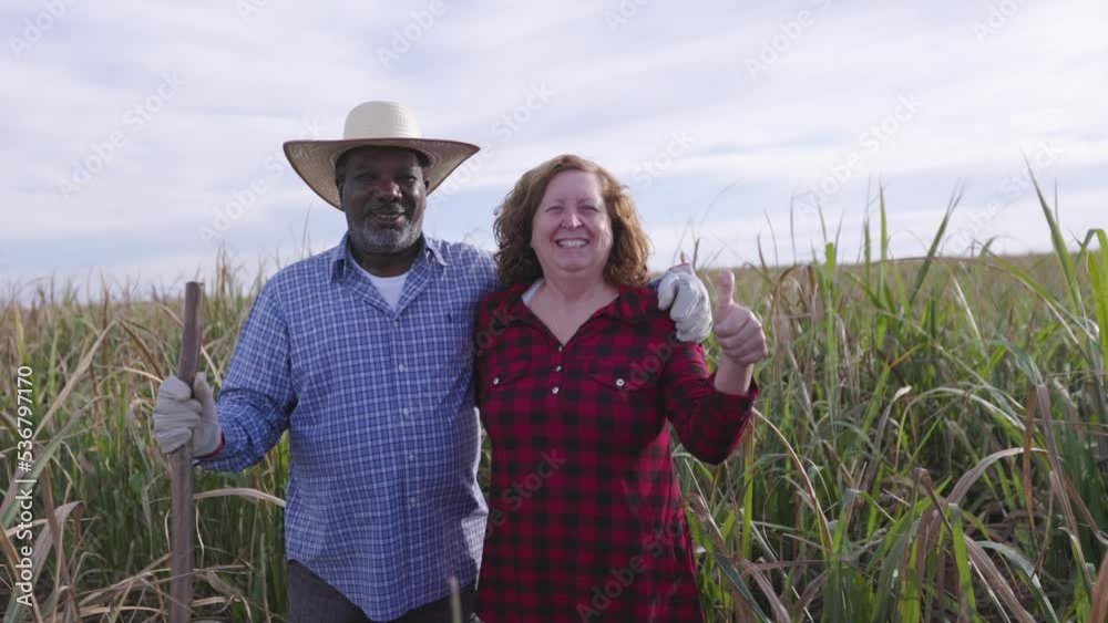 Brazilian Black farmer with his white wife on a sugar cane farm smiling ...