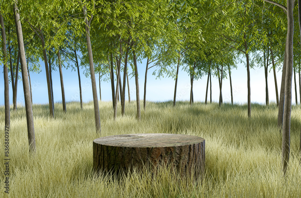 3d render Abstact stage podium background, Log tree podium on the ...