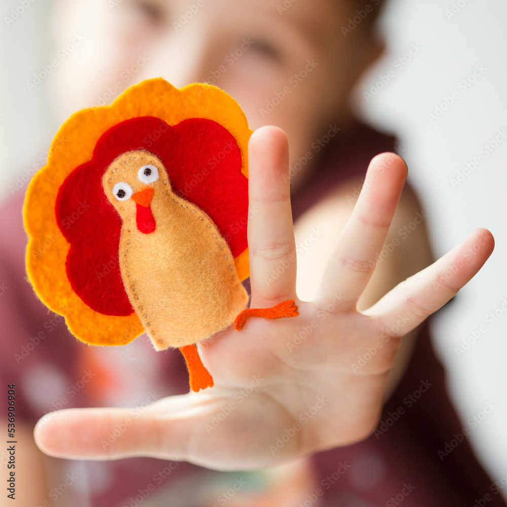 Felt Turkey Craft