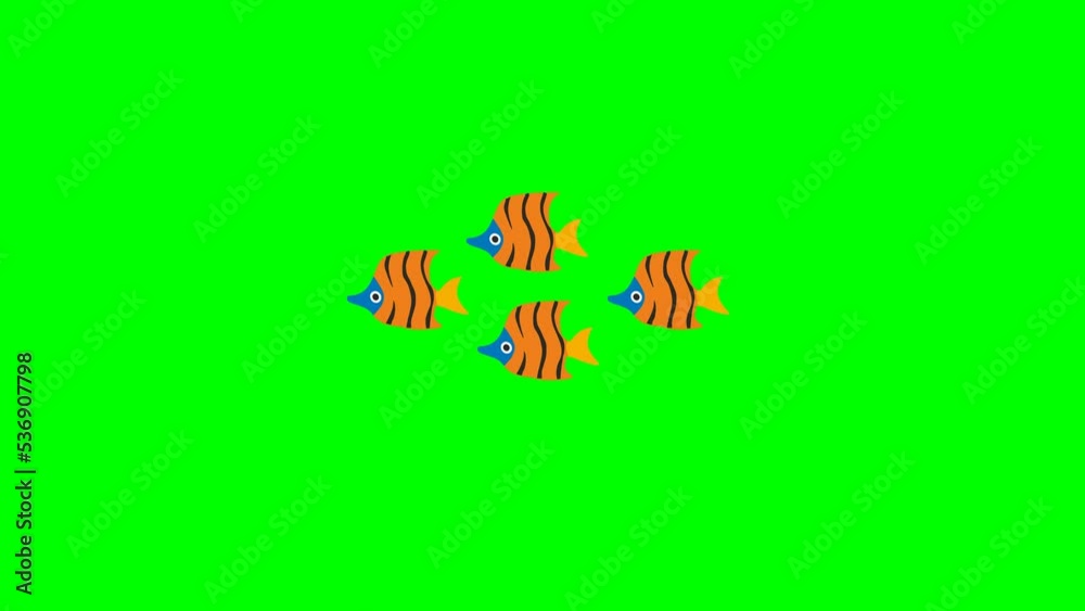 Little tropical fishes cartoon 2d animation in green screen Stock Video ...