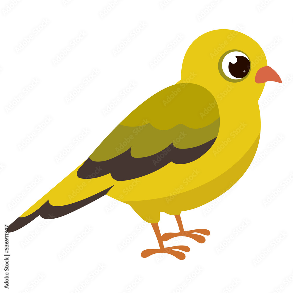 canary finch bird animal avian cute cartoon illustration Stock ...
