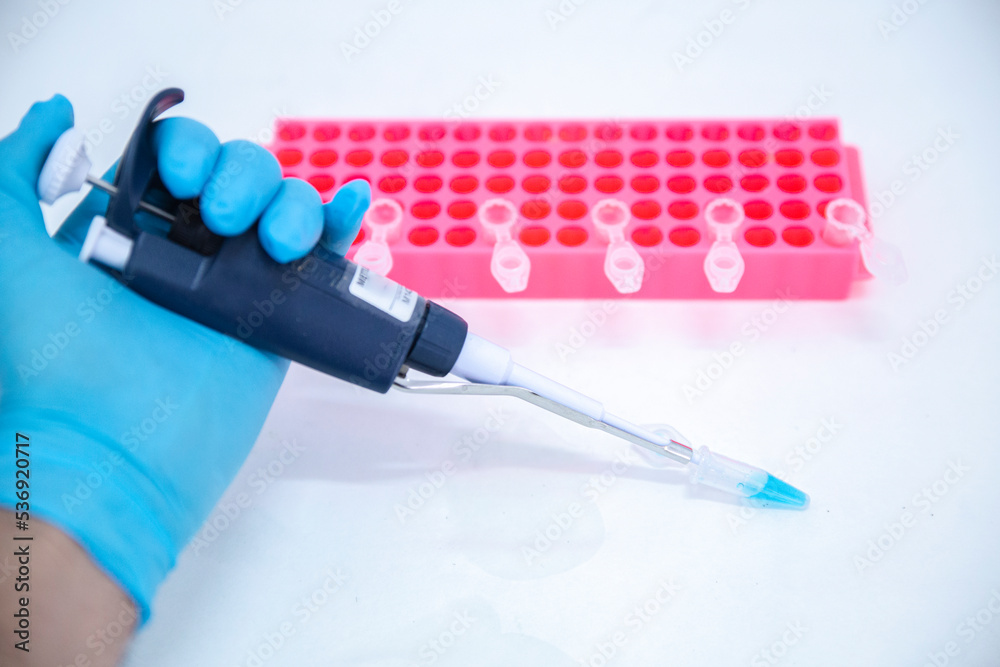 Scientist holding micropipette by rack on table in laboratory Stock ...