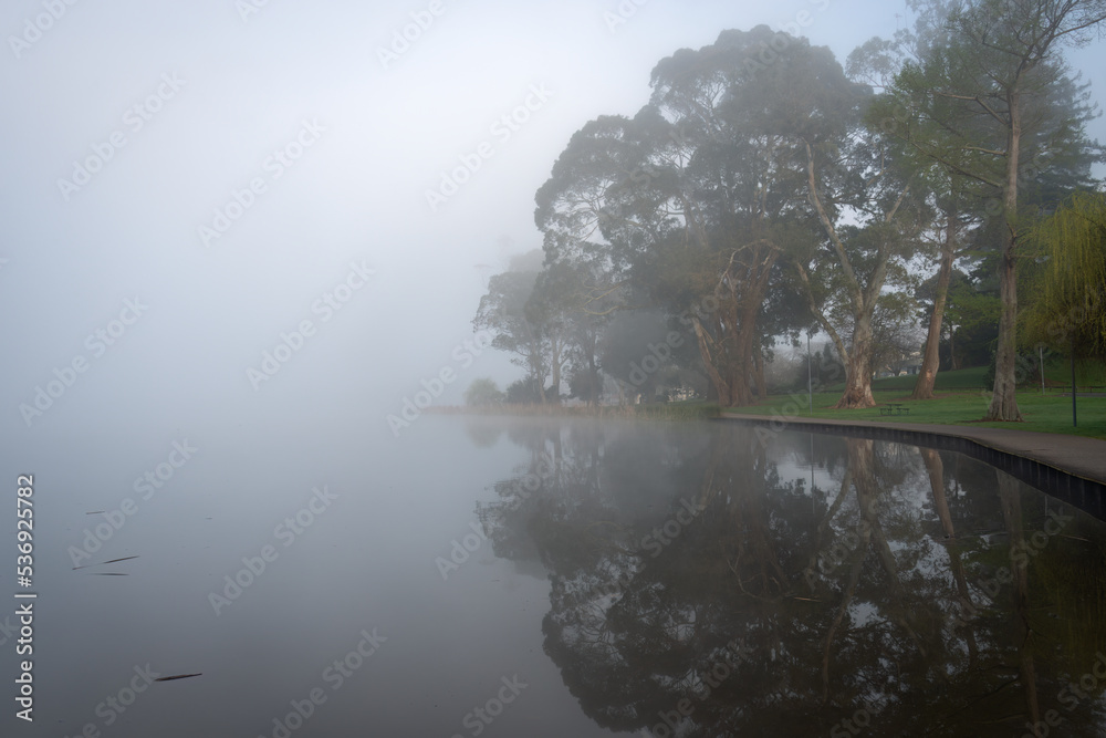 Foto de Fog drifting over Hamilton lake (also known as Lake Rotoroa ...