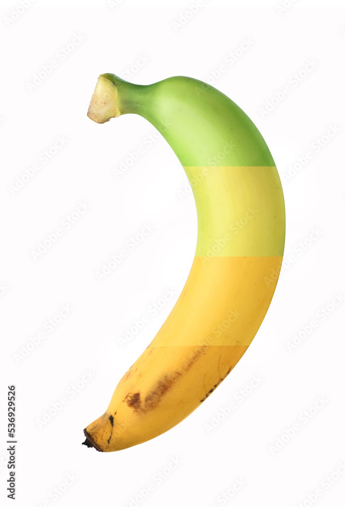 Ripening stages of banana isolated on white background.Clipping path ...