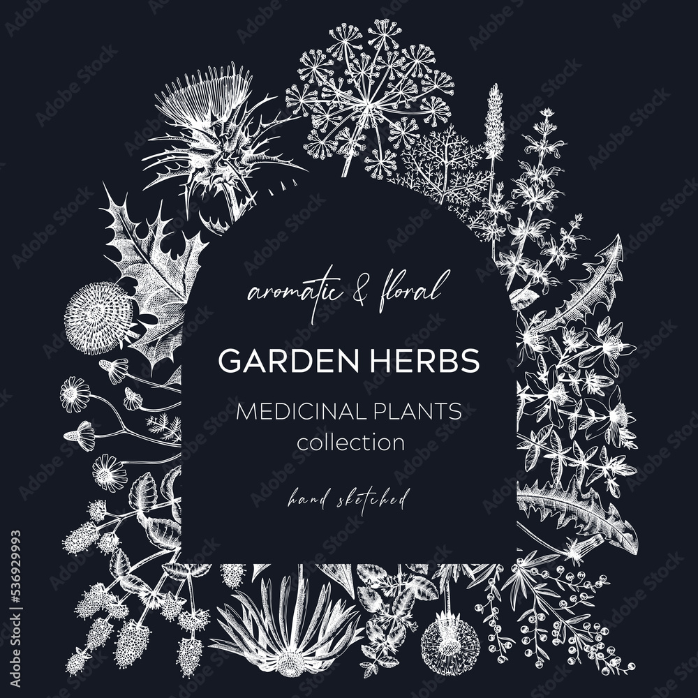 Vintage herb wreath on chalkboard. Aromatic plants design in sketched ...