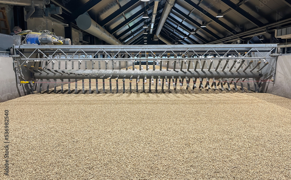 Automated malt turner in a modern whiskey distillery moving slowly in a ...