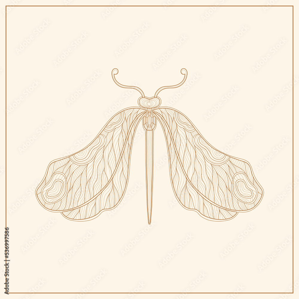 Art nouveau style dragonfly insect basic element. 1920-1930 years ...