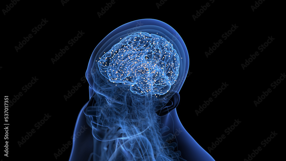 3d rendered medical illustration of active signals in a human brain ...