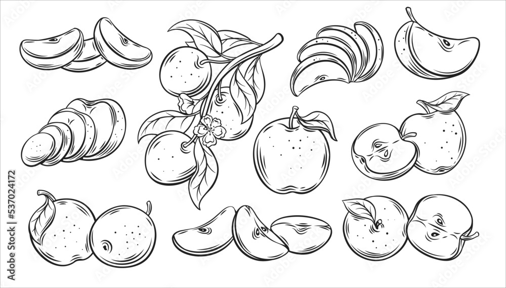 Apple outline icons set, line healthy fruit vector illustration. Fresh ...