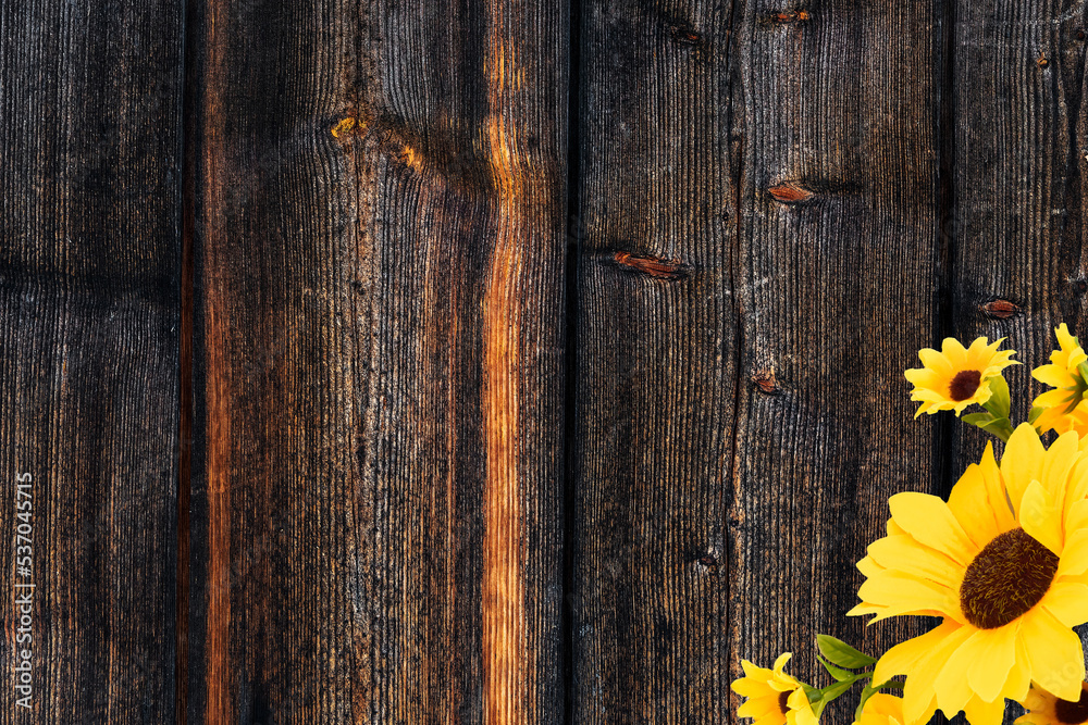 Darck wood textured template background with sunflower border. Floral ...