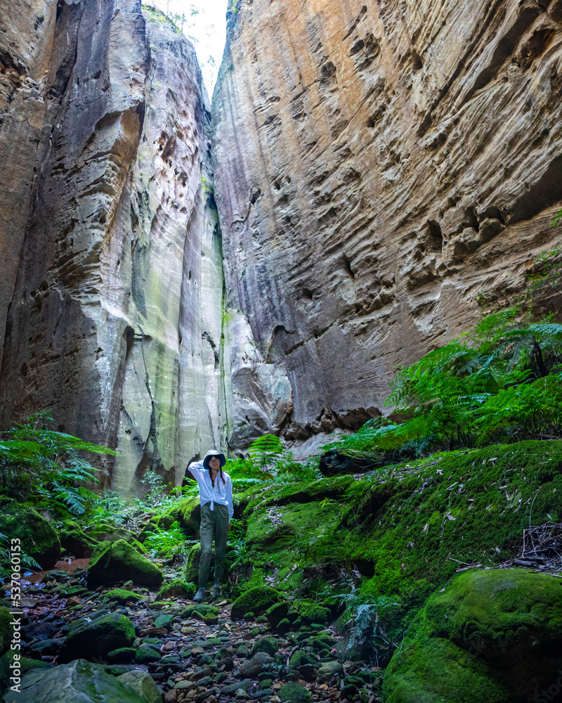 jungle girl hat hiking in carnarvon gorge in queensland; wild ...
