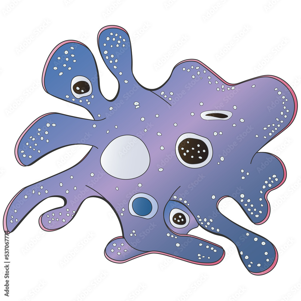 Purple amoeba proteus protozoan isolated white background Stock ...