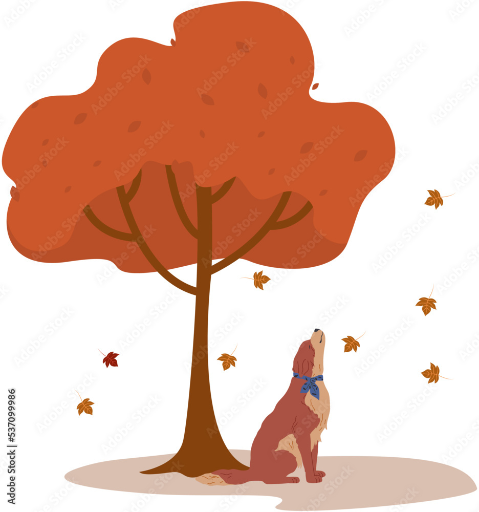 Dog sitting under autumn tree. Pet spends time in nature. Domestic ...