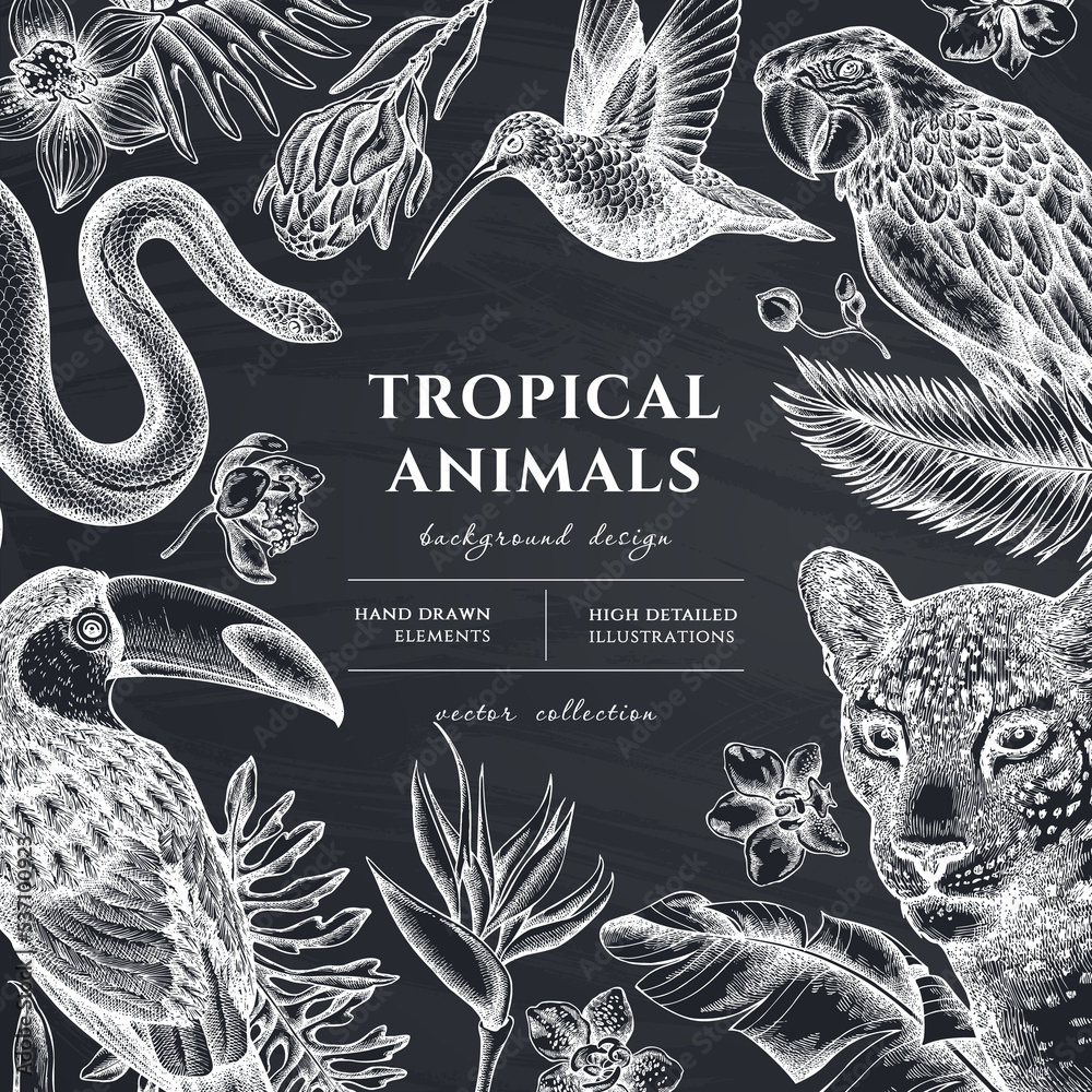 Tropical animals hand drawn illustration design. Background with chalk ...