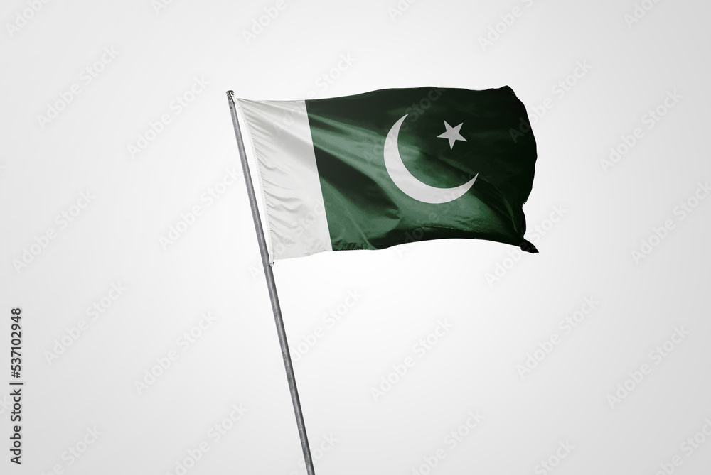National Flag of Pakistan. Pakistan Flag waving. Stock Illustration ...