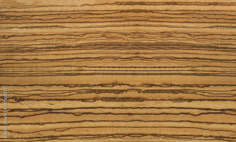 Zebrano quarter cut wood veneer texture Stock Photo | Adobe Stock