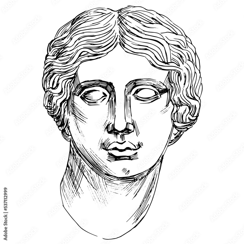 Hand drawn vector line art illustration of ancient greek sculpture ...