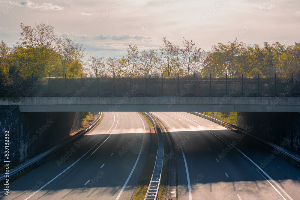 Animal bridge above the highways with sunlight, The eco-bridge is an ...