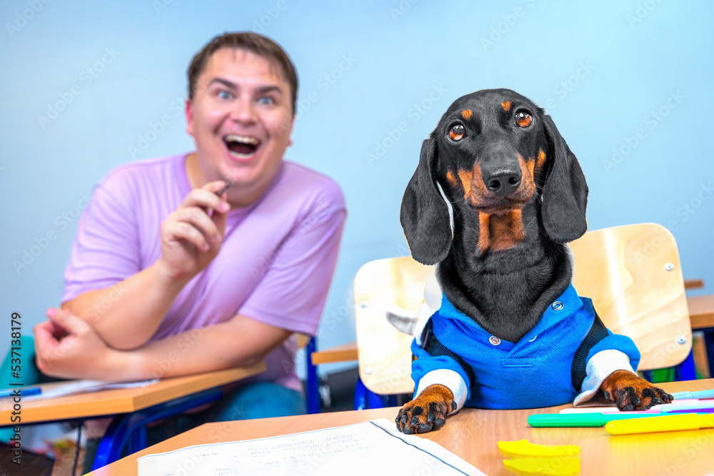 Dog and funny man in school class at desk, pupils of excellent student ...