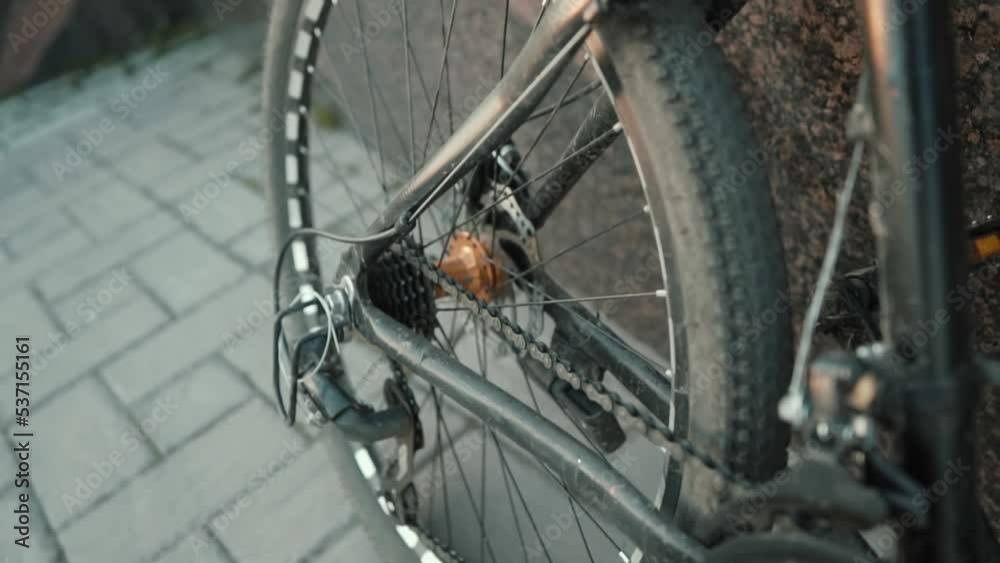 Parts of a bicycle rear wheel. Speed switch close-up. Variable focus ...