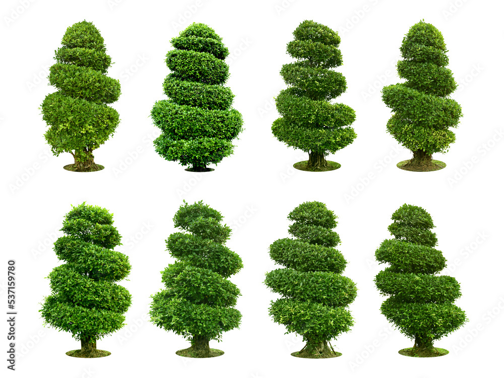 Collection pruning trees, ornamental plants of Tree decorations, garden ...
