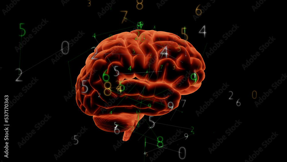 Neuroplasticity. Rewiring brain. Network of connected lines, dots ...