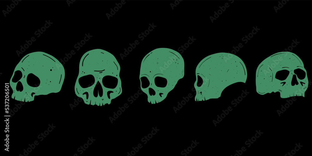 Human skull set. Anatomically correct human skulls set isolated ...