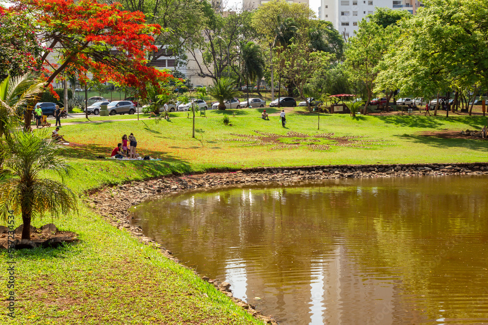 Um ângulo do Parque Flamboyant na cidade de Goiânia onde há uma árvore ...