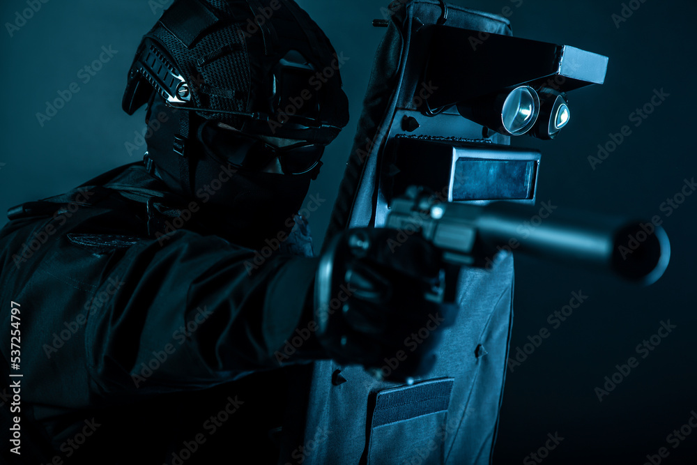 Police special forces fighter, assault team member, tactical group ...