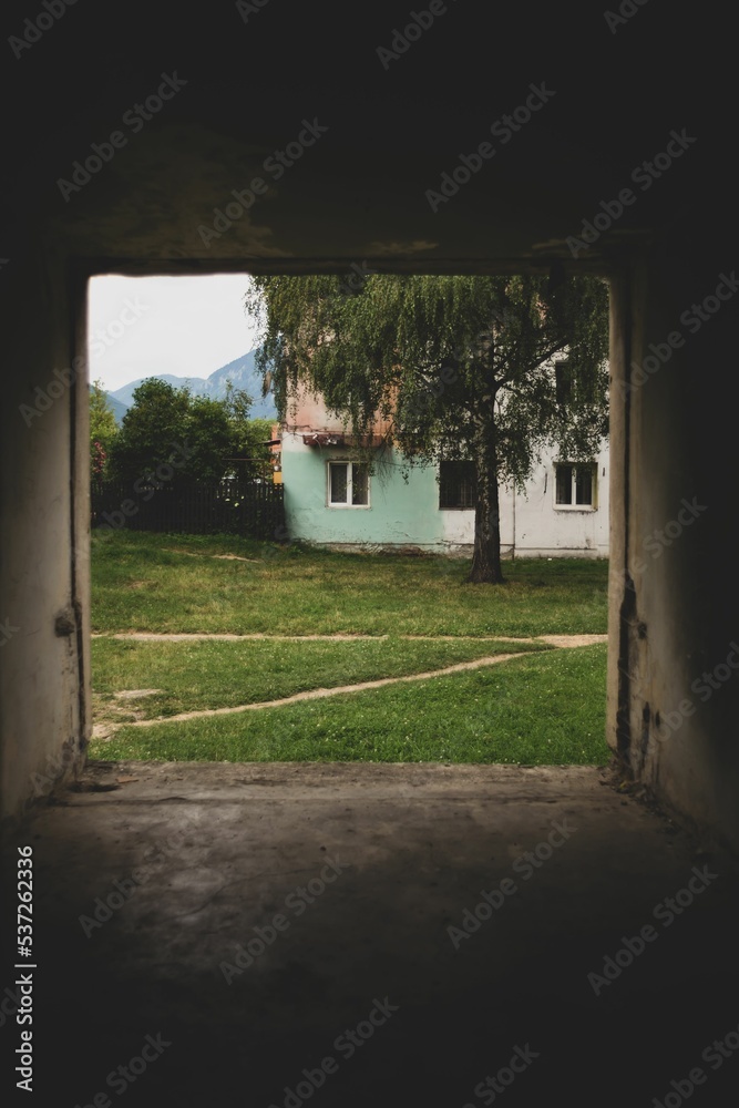 Vertical yard view from a garage with a grass, tree and house ...